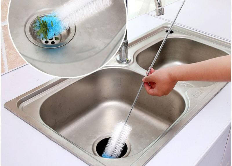 How to Get Rid of Earthworms in Bathroom - Follow These Simple Steps